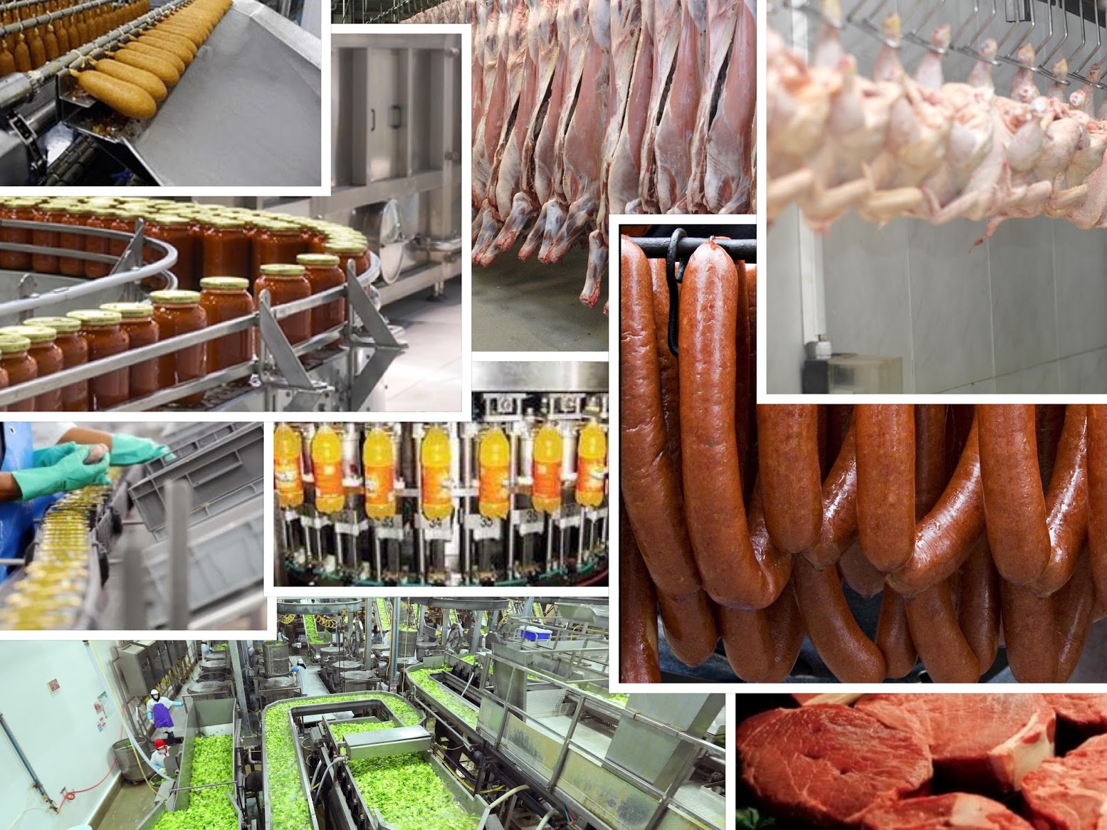 What is Food Science?