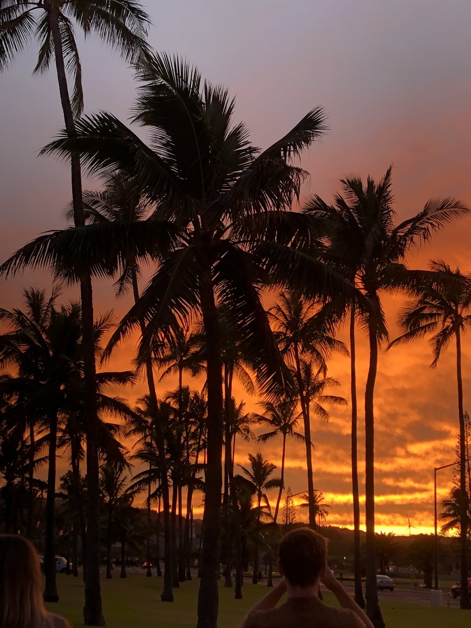 Hawai'i Honolulu Mission: Snow Puffies