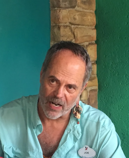 Joe Rhode, Imagineer Behind Disney's Animal Kingdom, Aulani, and More ...