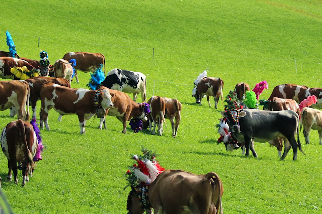 Antique Style: Fall Festival in the Alps: Party Til The Cows Come Home