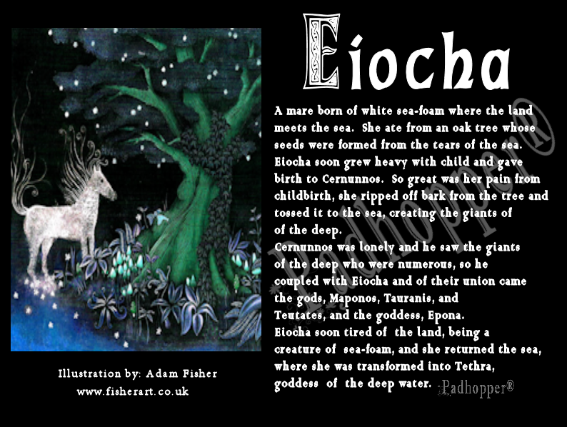 My Magickal Path -- Padhopper