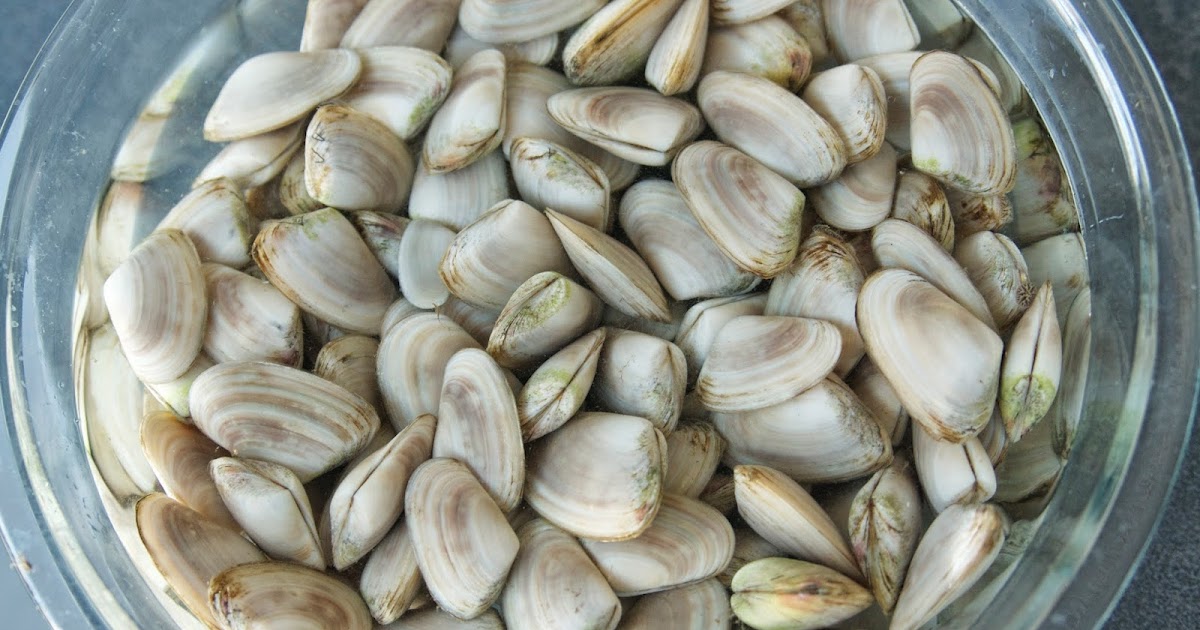 Clam Curry Recipe | Taste Chronicles