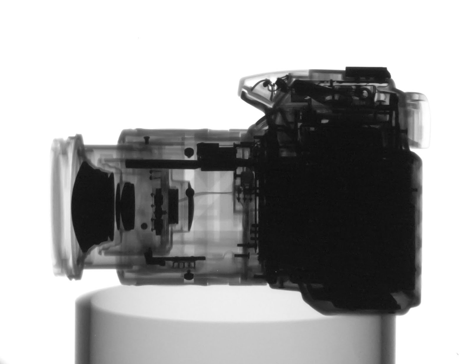 Ben Krasnow: Random X-ray photos