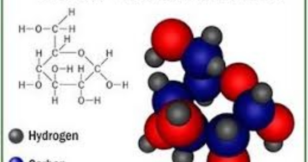 Komponen Kimia Penyusun Sel