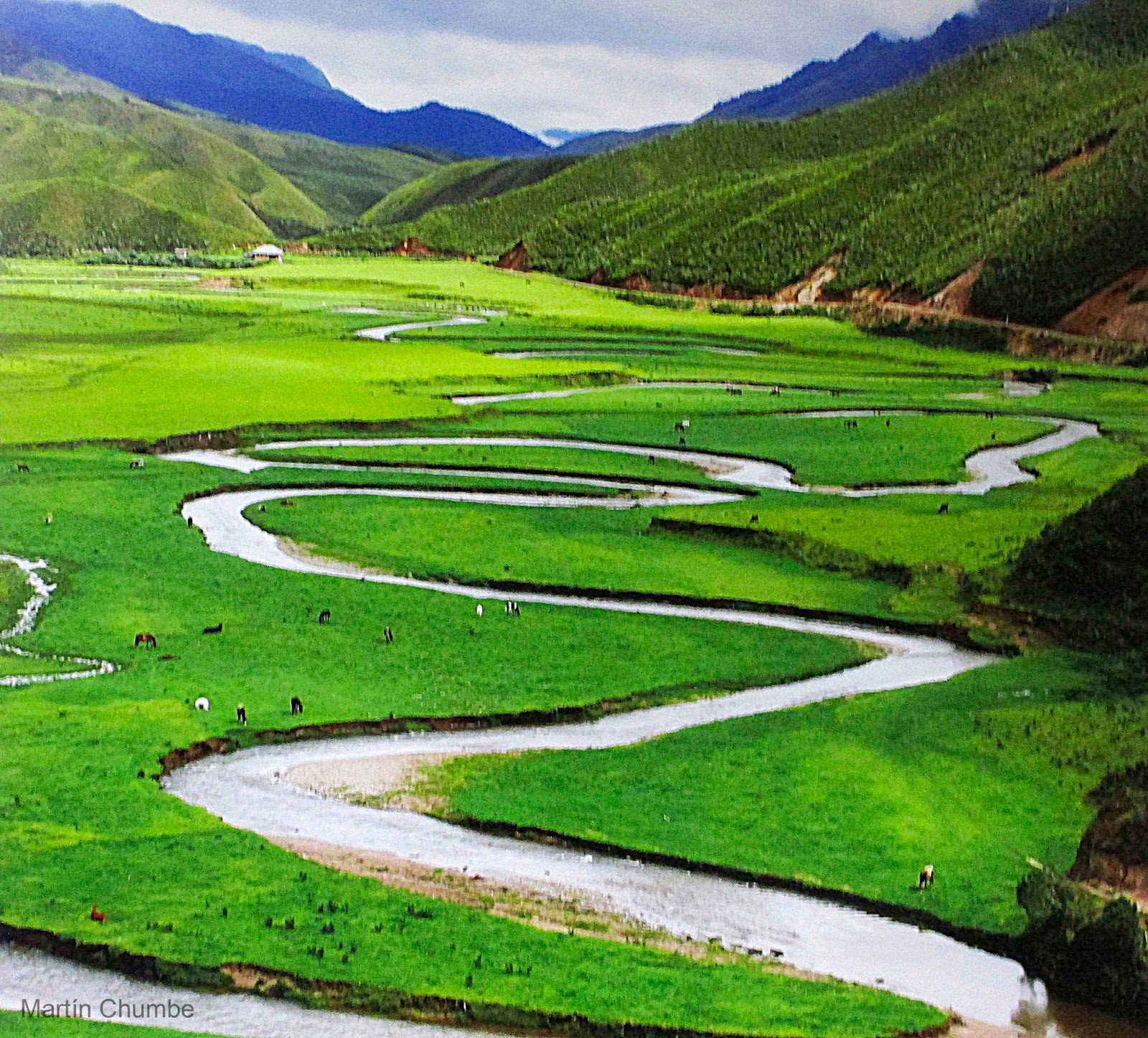 FORO PERUANO DE LAS ARTES: VALLE ALTO DEL UTCUBAMBA