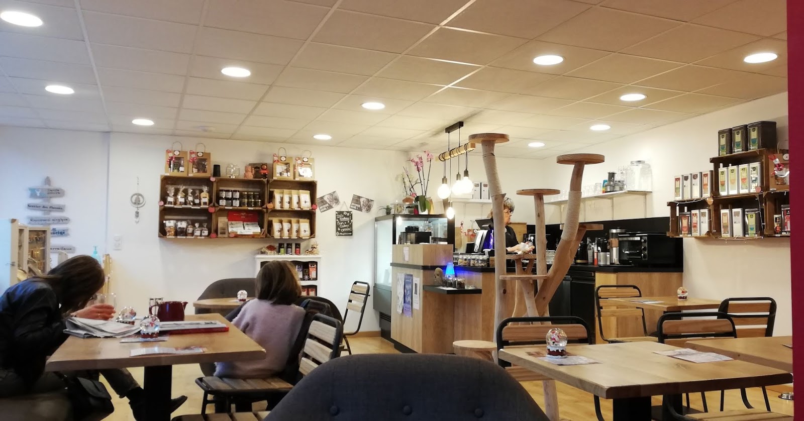 J'ai testé pour vous : le bar à chats "Le chat zen"