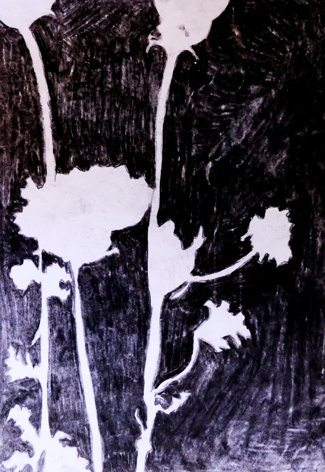 Natural Form Painting and Drawing (1st Year)