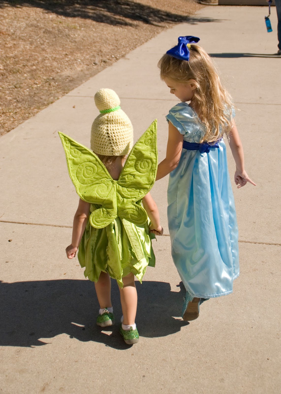 The Pocock Family: 2016