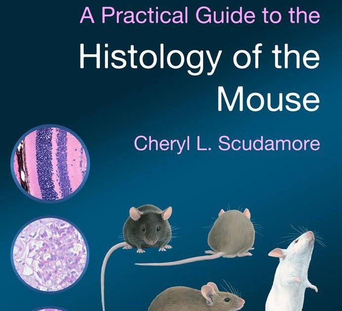 A Practical Guide to the Histology of the Mouse