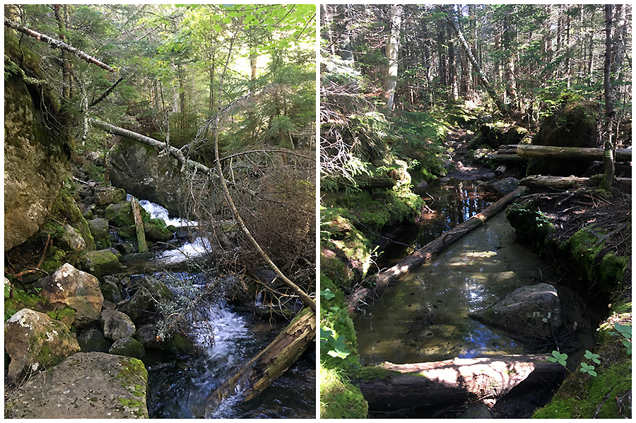 Hiking in the White Mountains: Weekend Warrior Loop . . . Washington ...