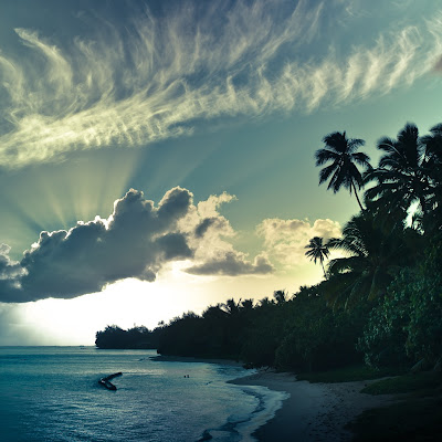 Picture Zoo: Nature Views