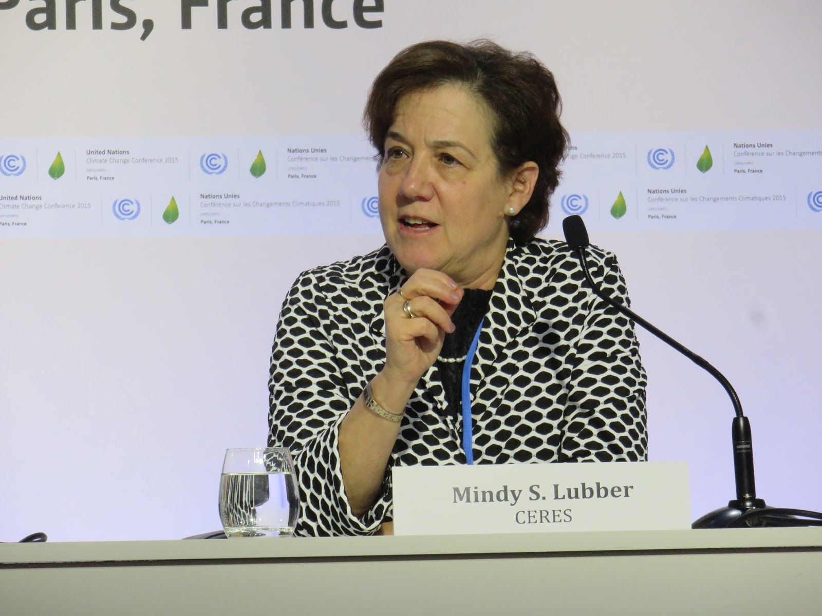 Climate Dispatch: COP21 - The Deal is Done