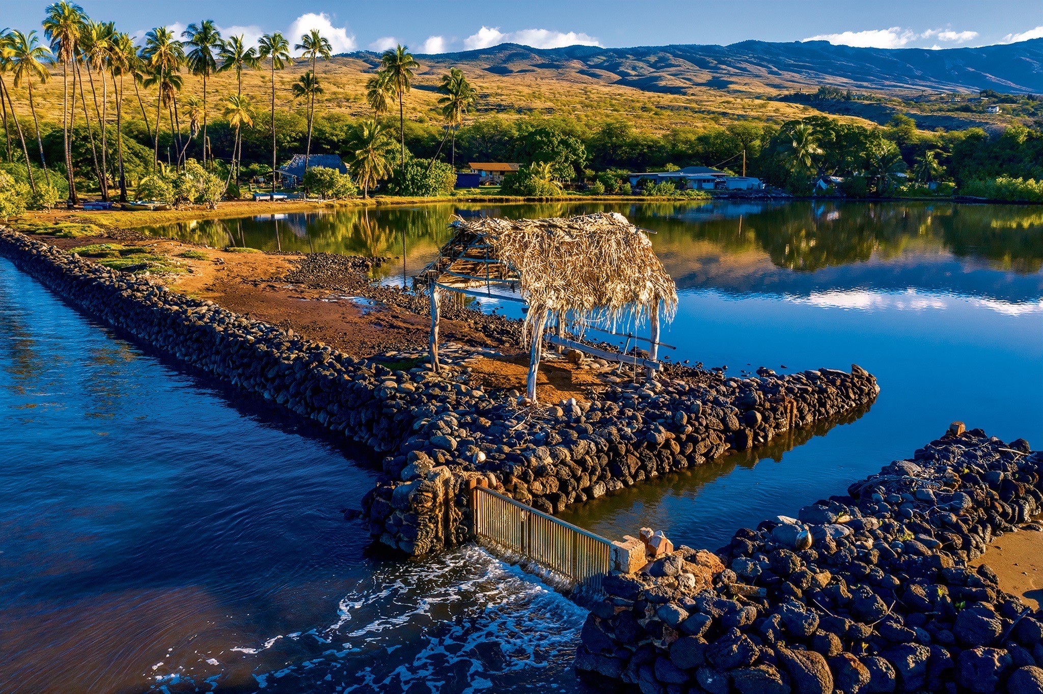 Returning to the pond
