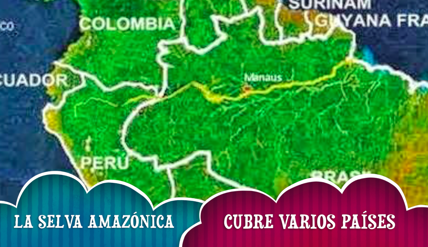 INFANTIL de GRACIA: LLEGAMOS A LA SELVA AMAZÓNICA