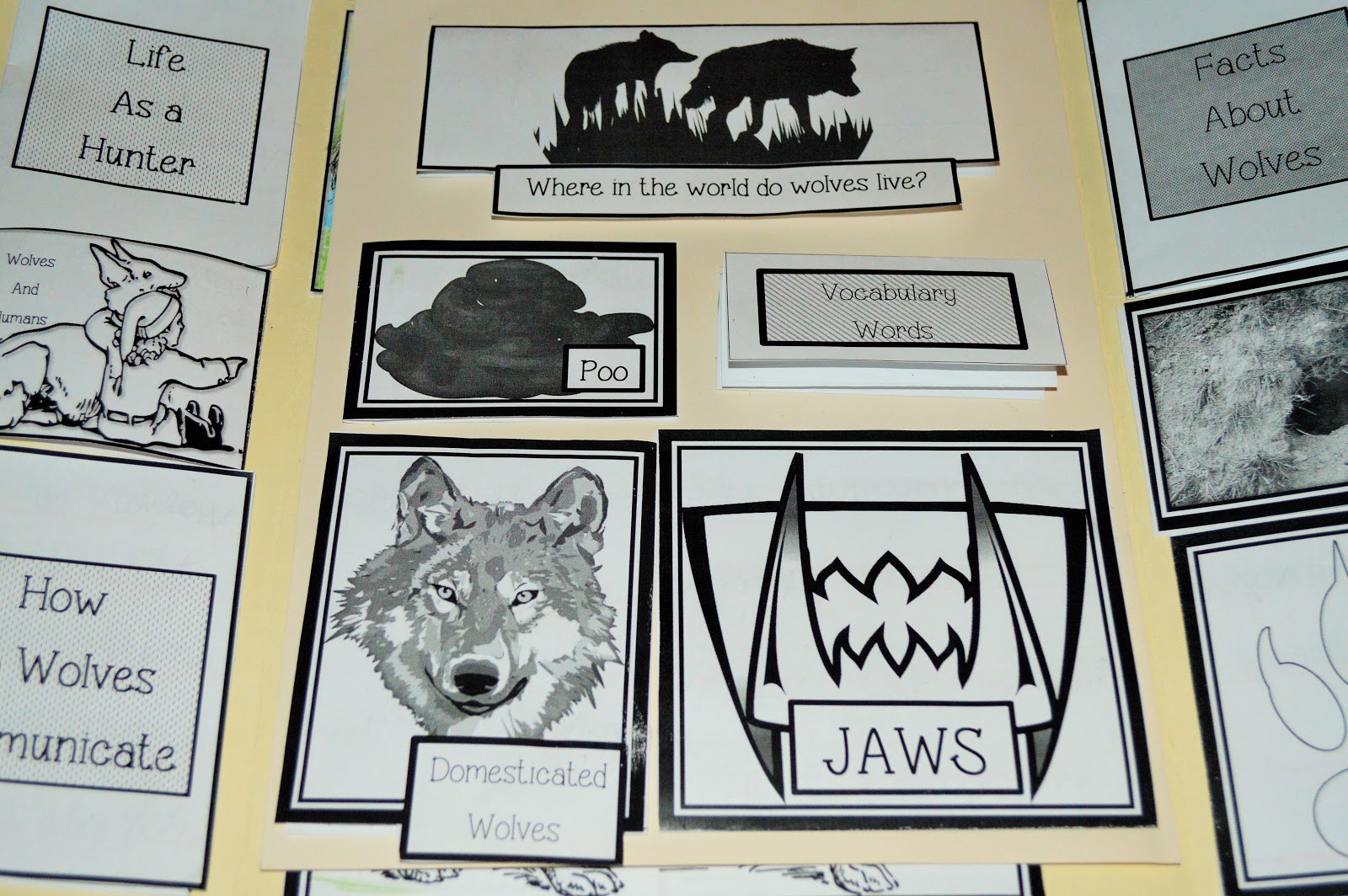 The Hermit Crabs Homeschool: All About Wolves