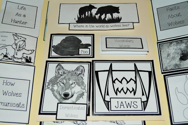 The Hermit Crabs Homeschool: All About Wolves