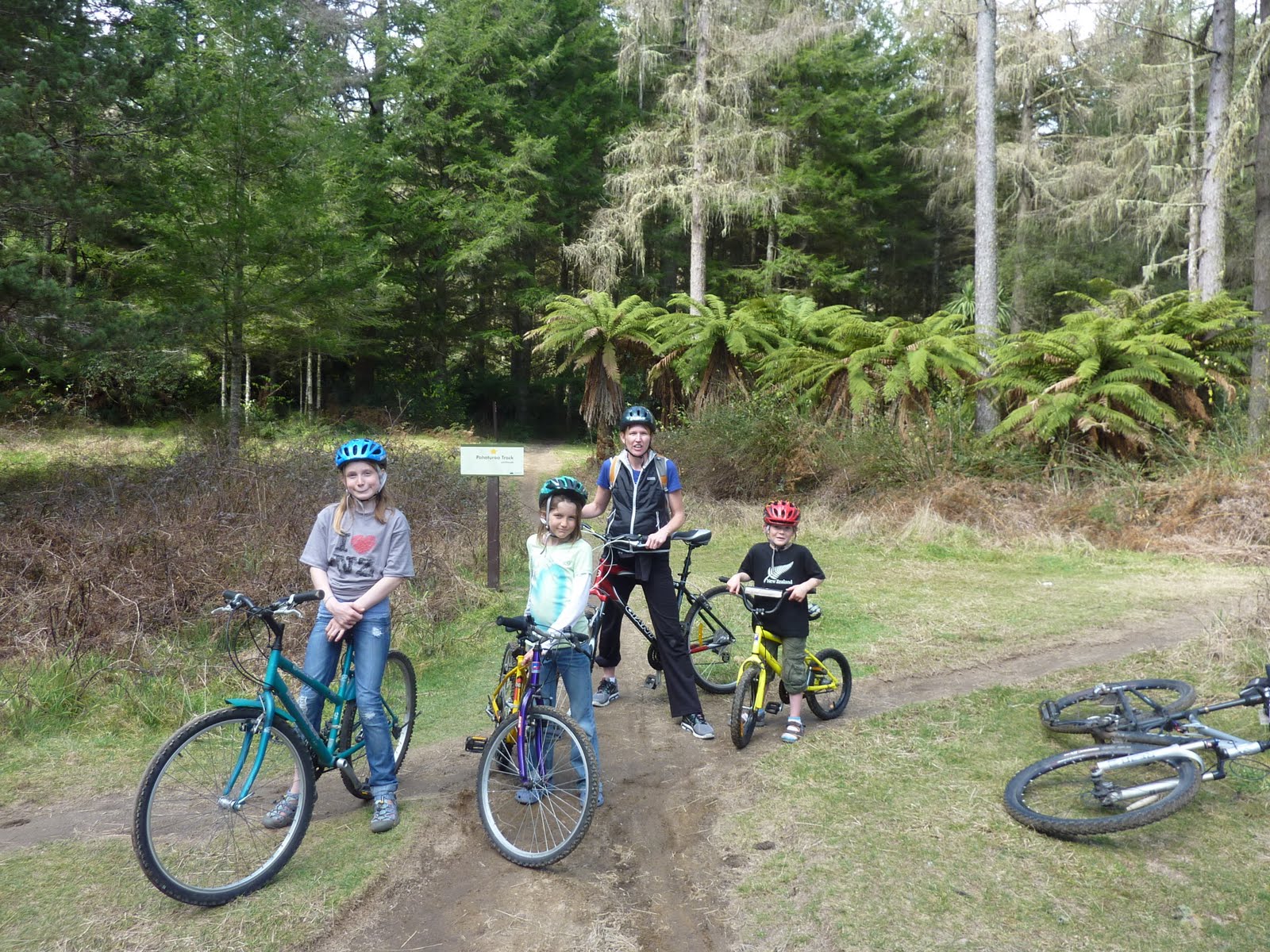 Ellingtons in New Zealand: ROTA"VEGAS"