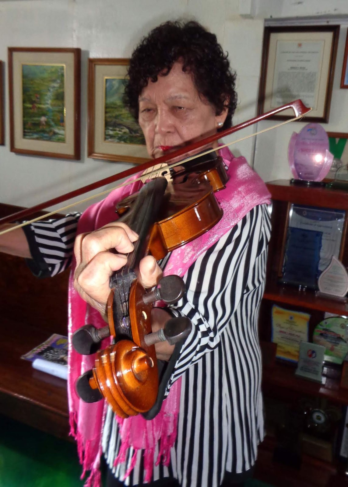 Living with Nature - School on Blog by Dr. Abercio V. Rotor: Visual and ...