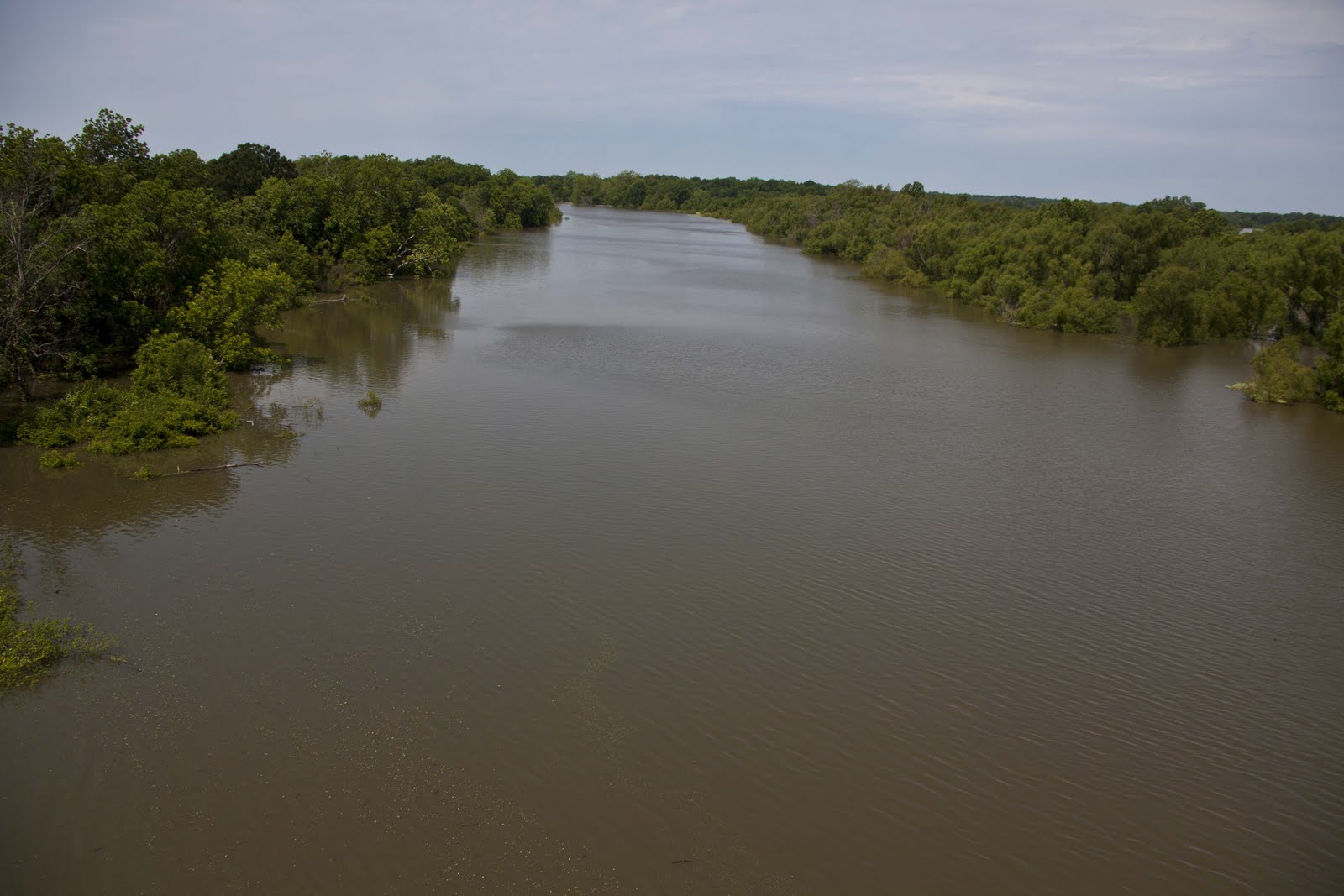 Marty Kittrell: Vicksburg Flood 2011: Yazoo River Bridge/Redwood