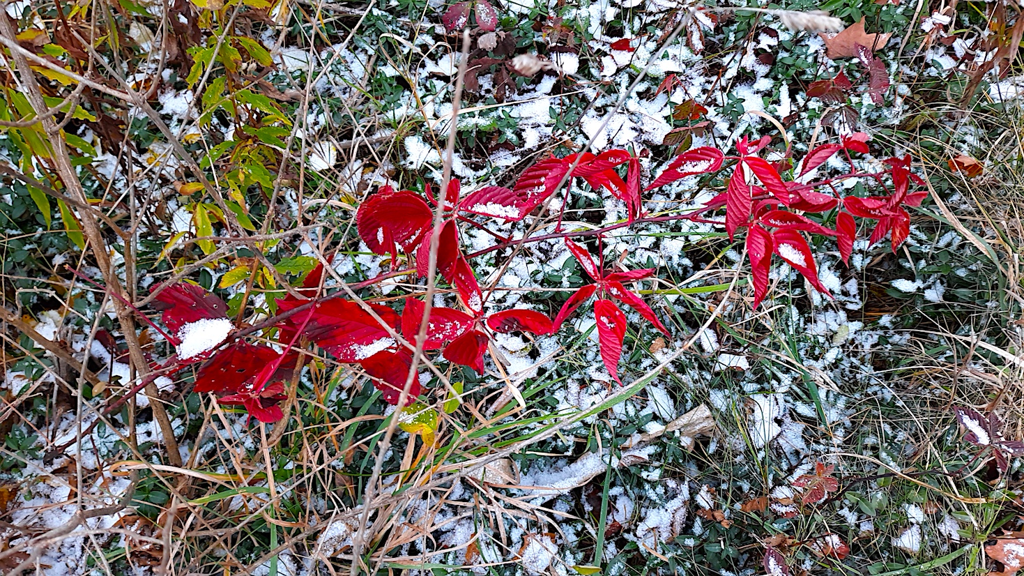 Life is Good : ): A few flurries