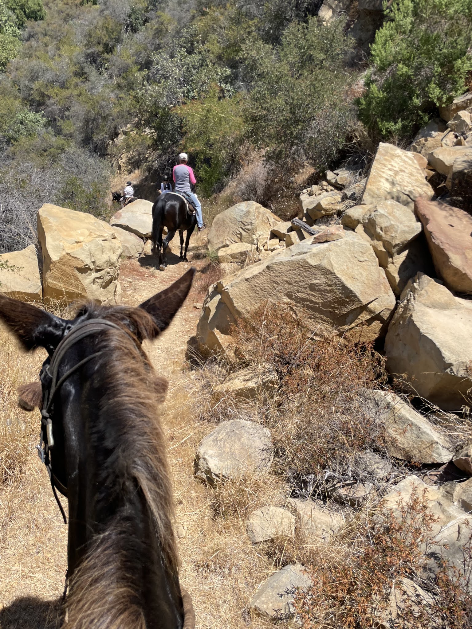 Baron Ranch on the Gaviota Coast - edhat