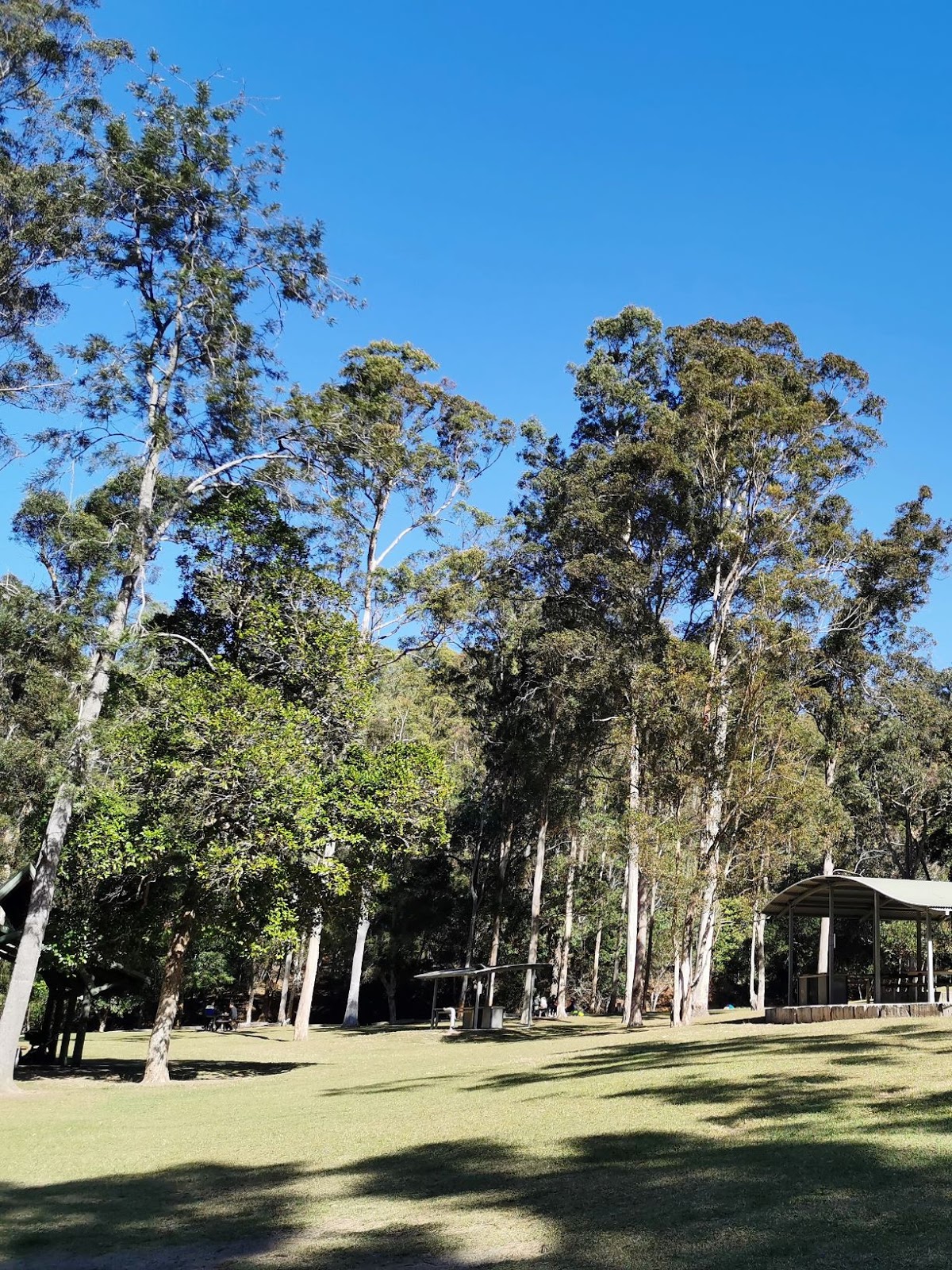 kenwee: Just You and Me, Simpson Falls Track, Mt Coot-tha