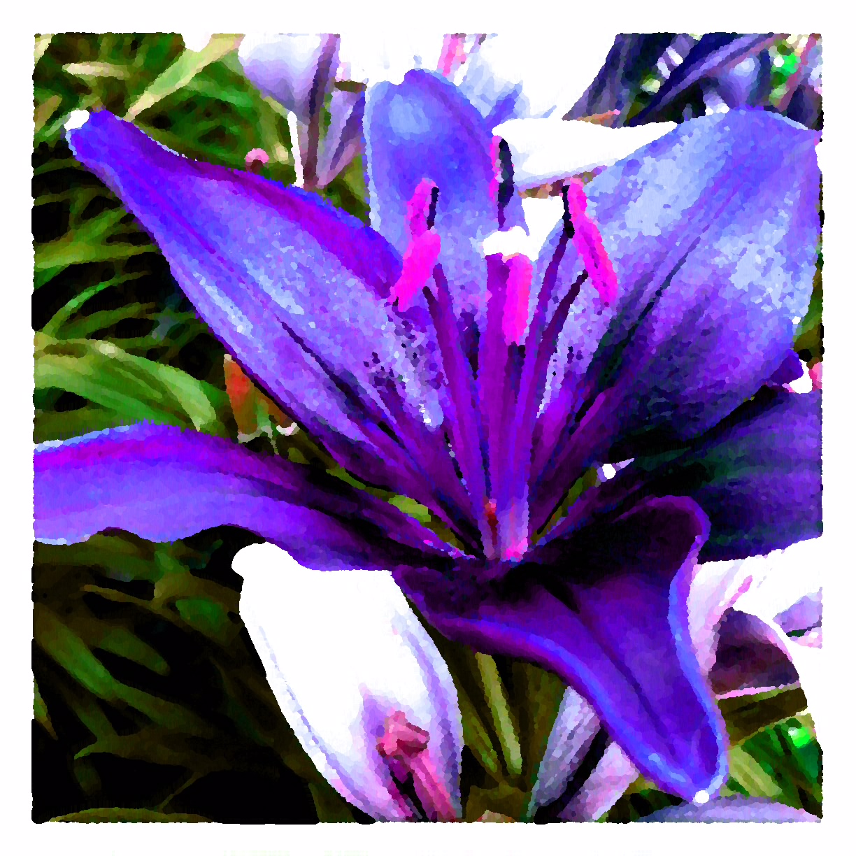 MarianneDowFoto Blog - Art Photography by Marianne Dow: Lovely Lily ...