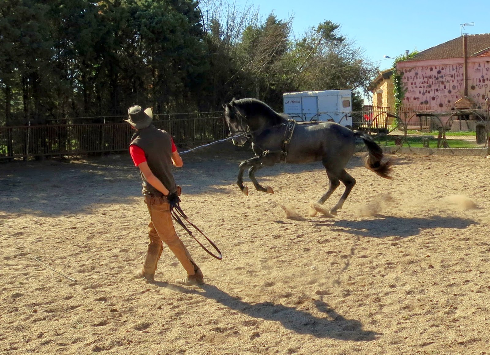 Centro Ecuestre La Hípica: La doma básica del caballo