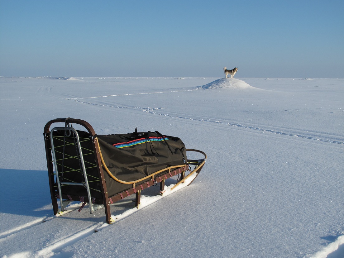 Northernmost Alaskan Malamutes: My birthday sled