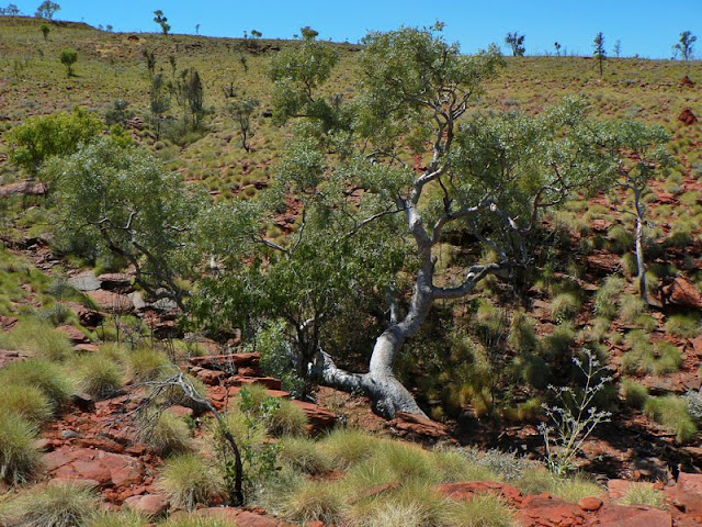 ournomadicways: Millstream National Park & Karratha Region