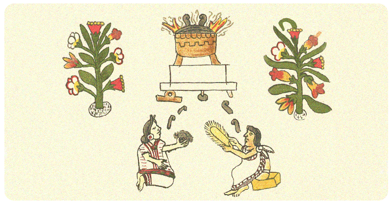 La medicina de los mayas , incas, y Aztecas