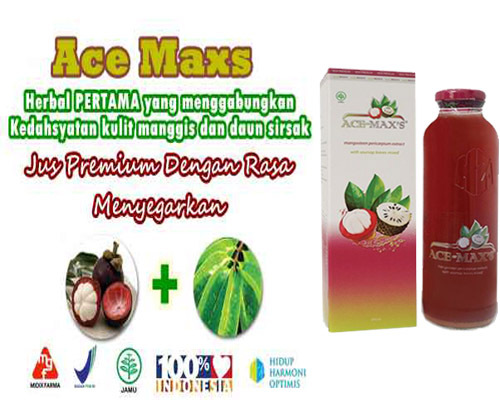 JUAL ACE MAX'S ORIGINAL H2O INTERNASIONAL DI TEGAL BREBES PEMALANG