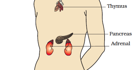 Welcome to the Living World: Chemical Coordination and Integration ...