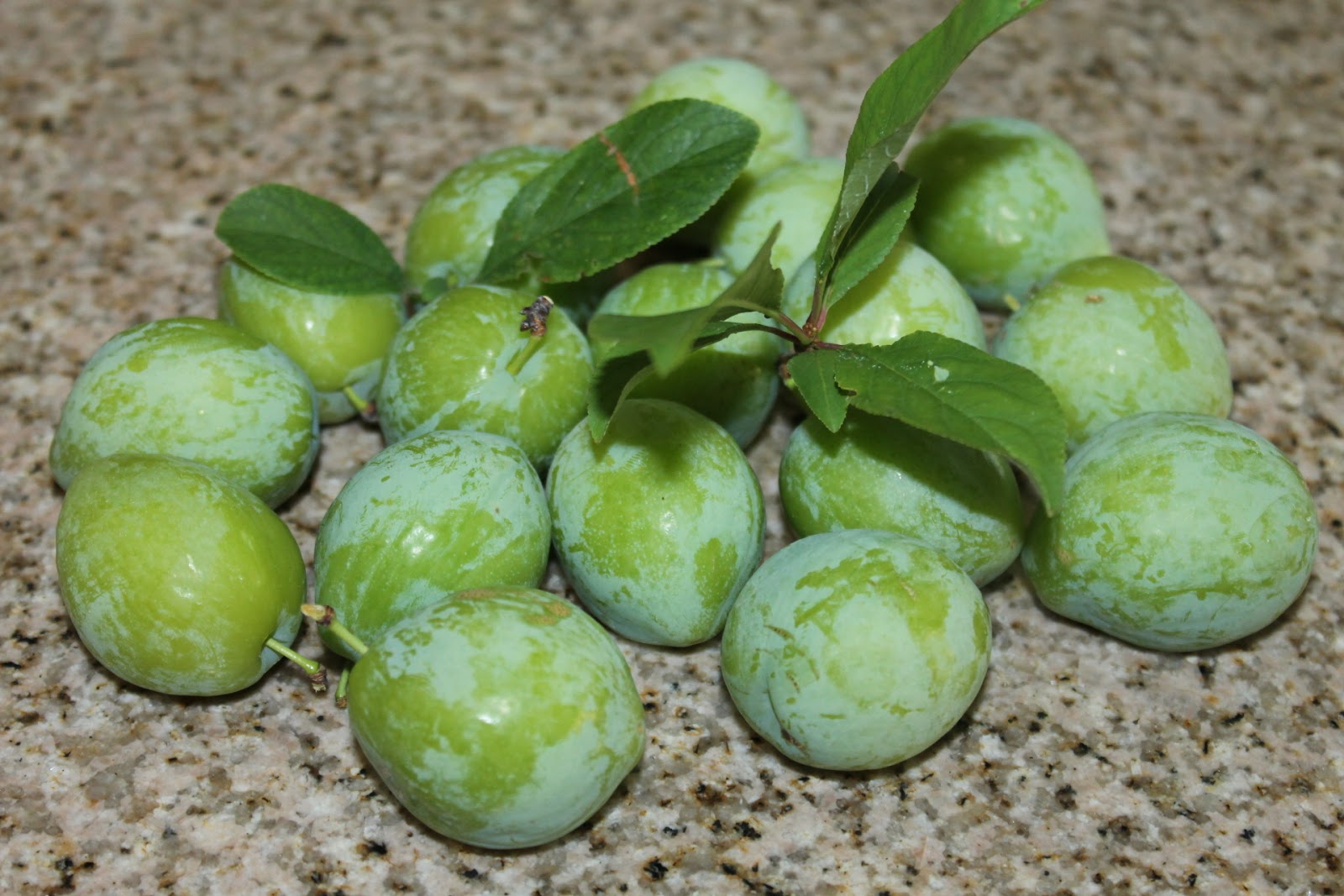 VineelaSiva: Raw Plums Pickle