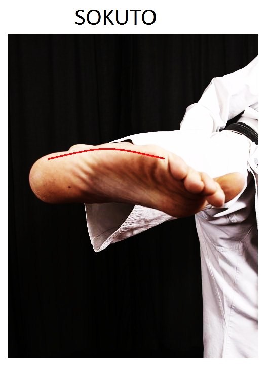 Sensei M.Maharaj: SOKUTO GERI or SIDE KICK