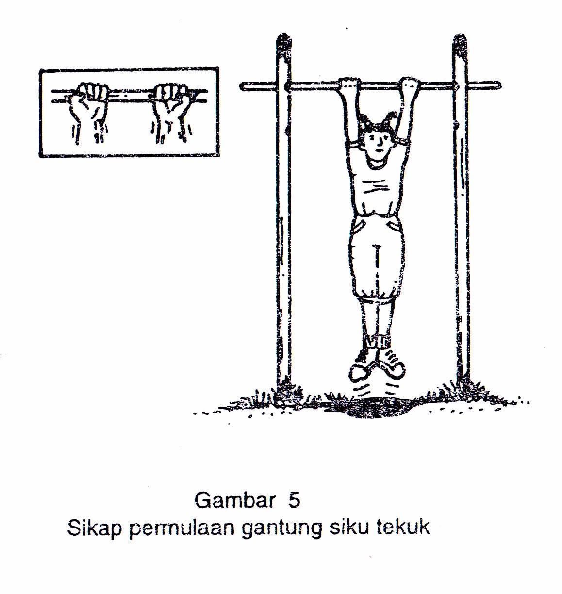 Tes Kesegaran Jasmani Indonesia ( TKJI ) Usia 16-19 Tahun