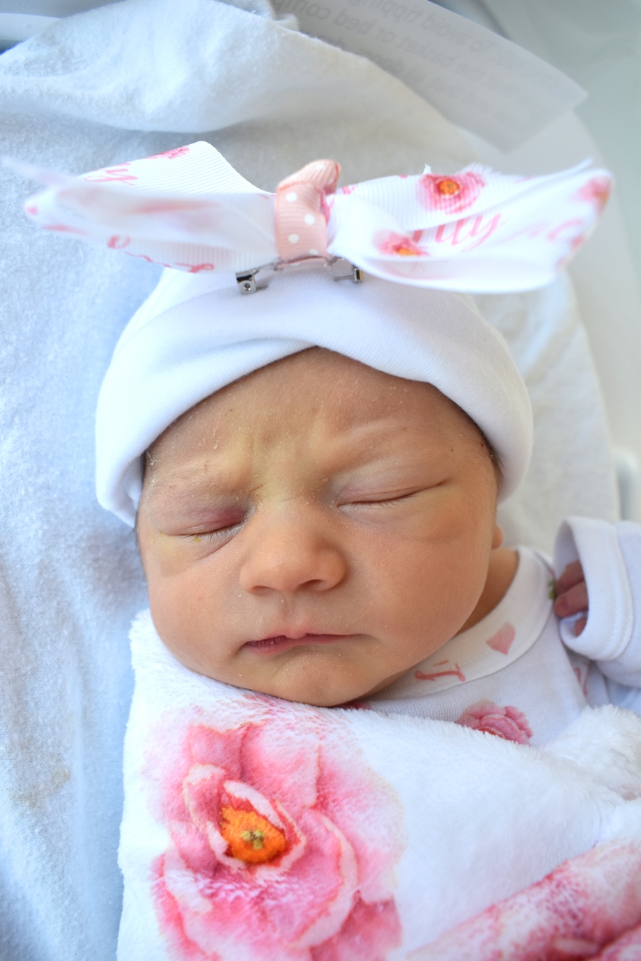 Lily Virginia's Birth Story | The Nutritionist Reviews