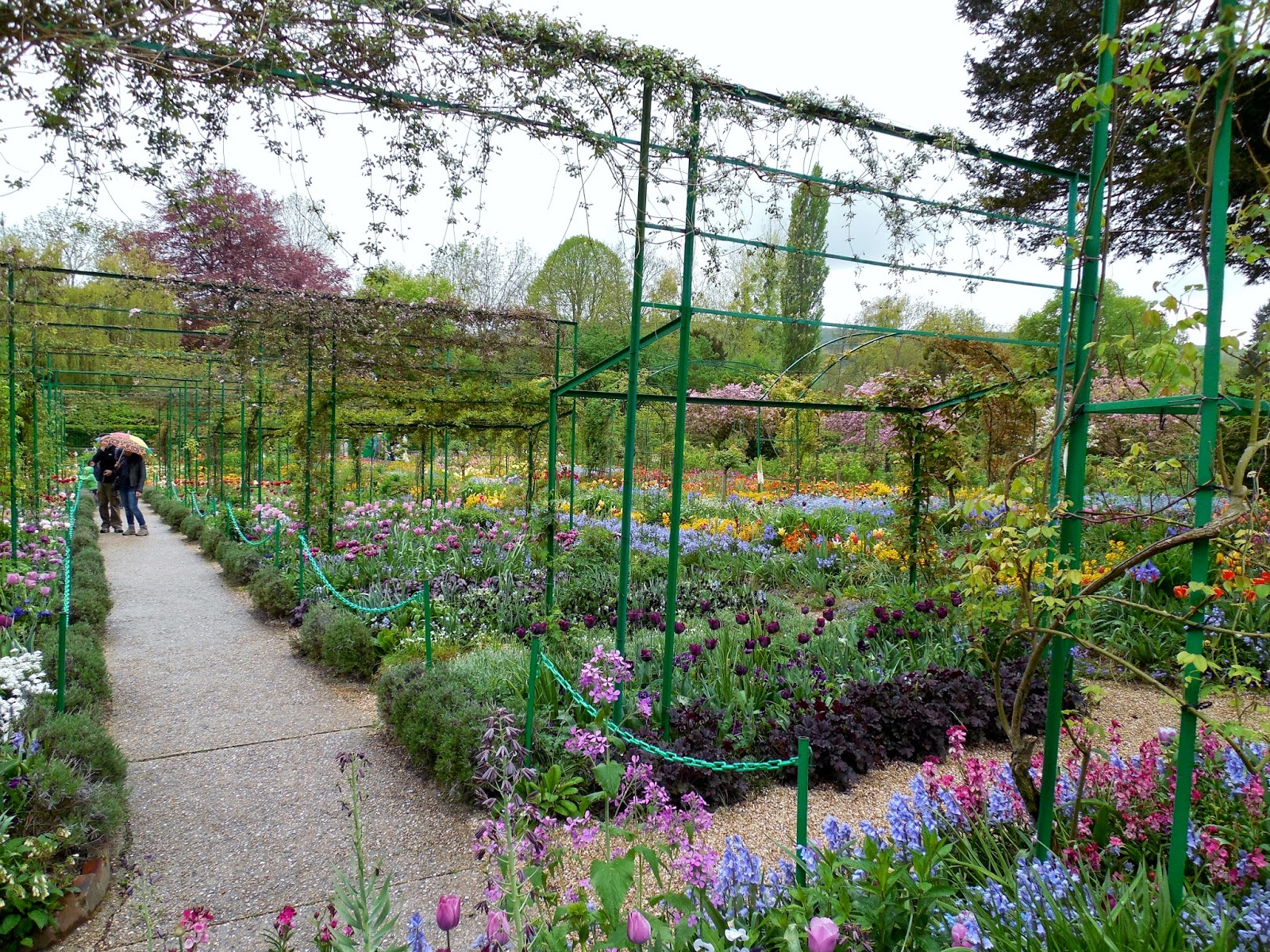 Teatime Journeys: Day 8- Monet's Garden