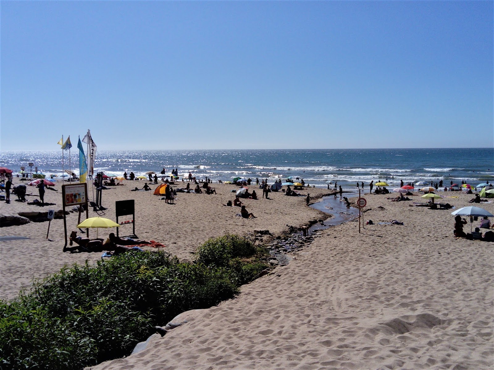 Sinais...de esperança : Entre o pinhal e a praia