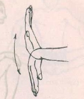 SAMVATSAR YOGA - YOGA FOR LIFE , YOGA FOR ALL , YOGA FOR FREE ...