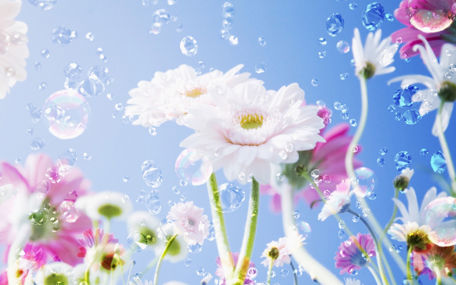 12 Wallpapers o Backgrounds de Flores Pack 03 - El Blog de Vku, Lo se ...