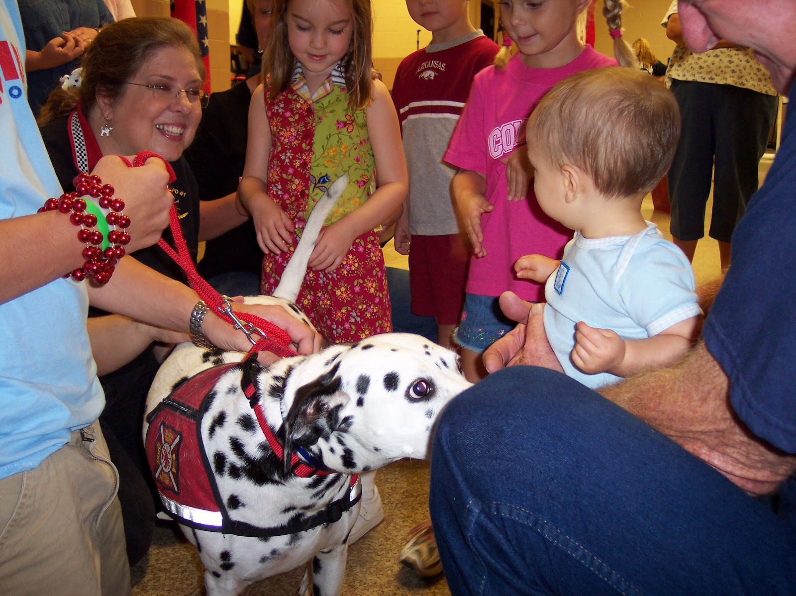 Sparkles the Fire Safety Dog: Fire Safety Programs by the Fire Safety Dogs