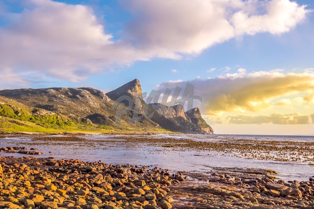 Free stock photos of Africa for commercial use | PICHA Stock