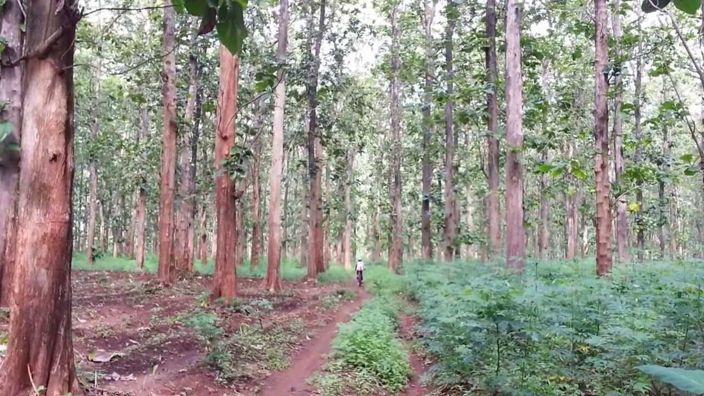 Wood Furniture - Sustainable timber & reclaimed wood