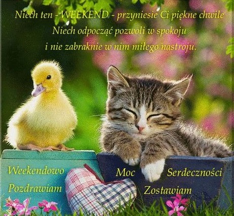 DLA KAŻDEGO: WEEKEND