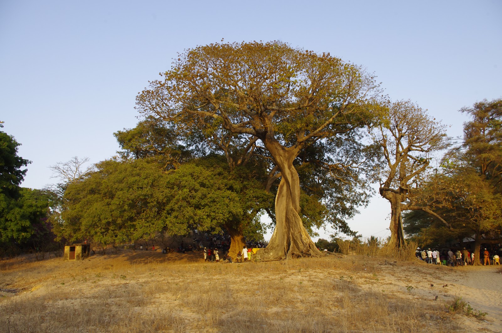 Touva: Casamance suite