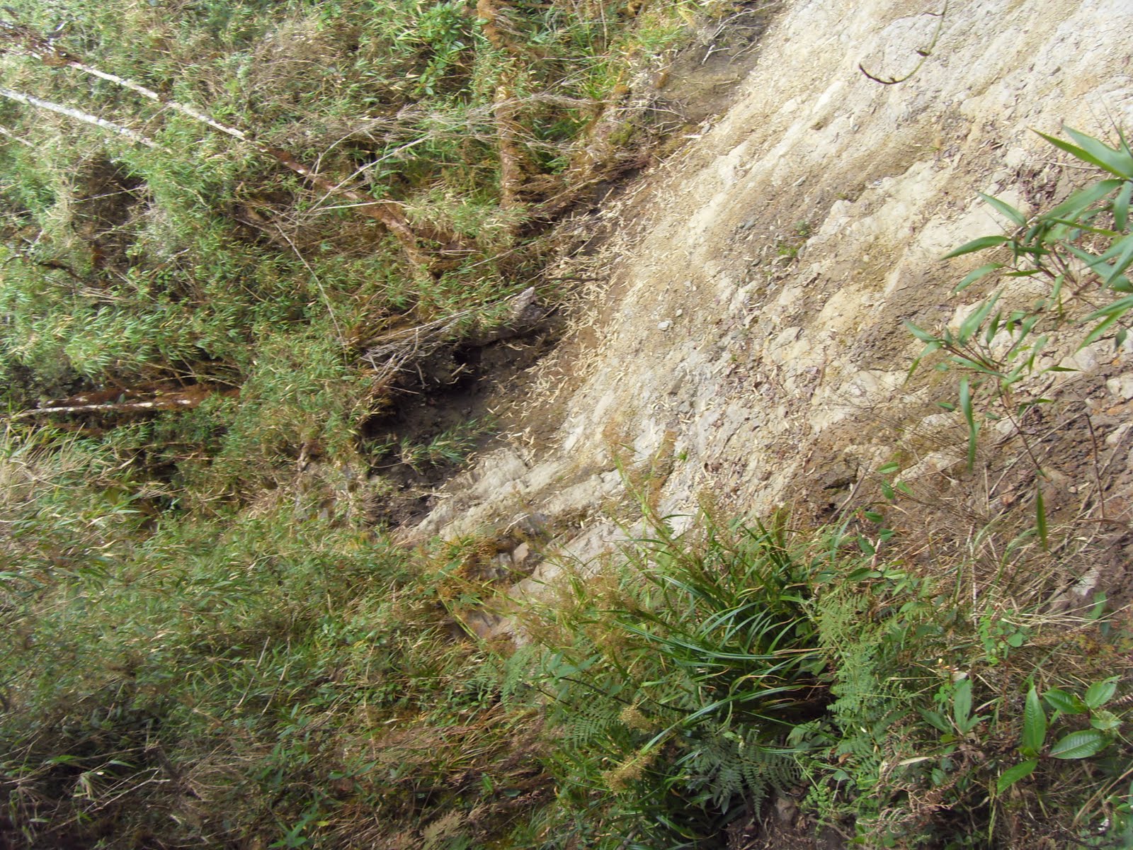 Brisbane to Barcelona: Yunga Cruz Trek
