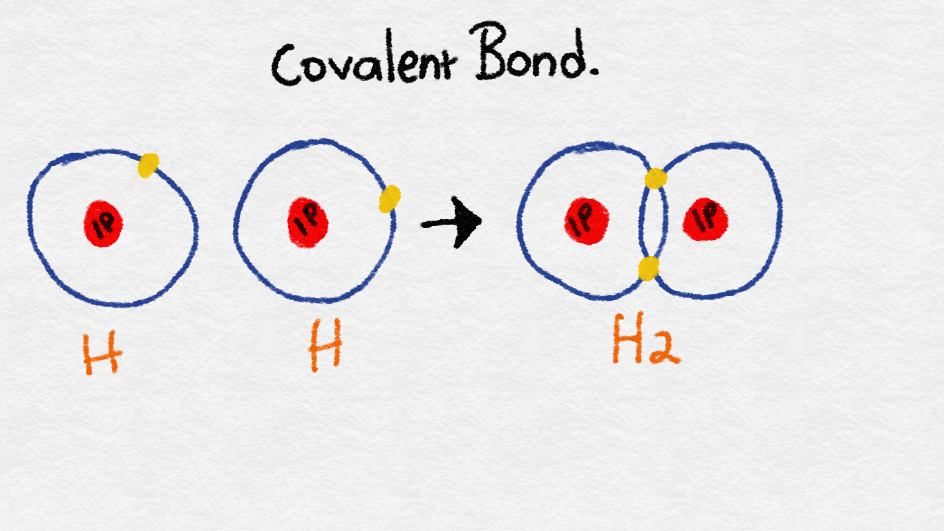 Atoms join together to form what - xolerresources
