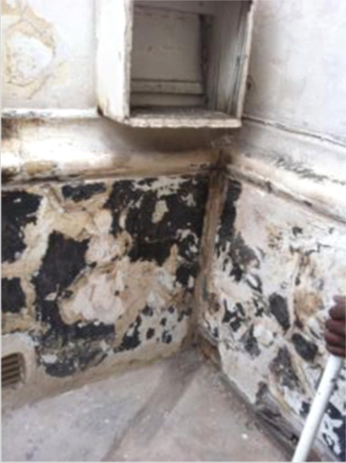 Ditsong Kruger Museum