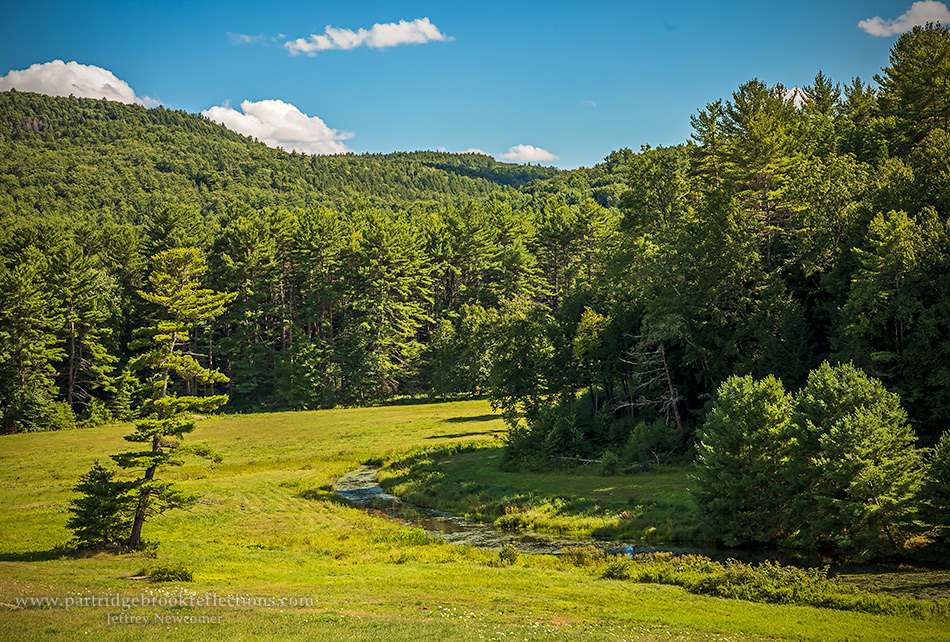 Getting it Right in the Digital Camera